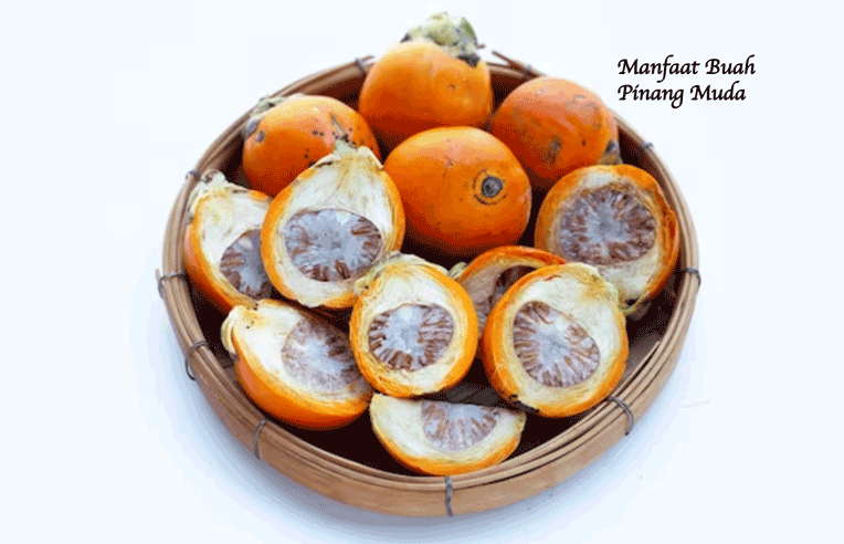 12 Manfaat Buah Pinang Muda untuk Kesehatan - BAMS